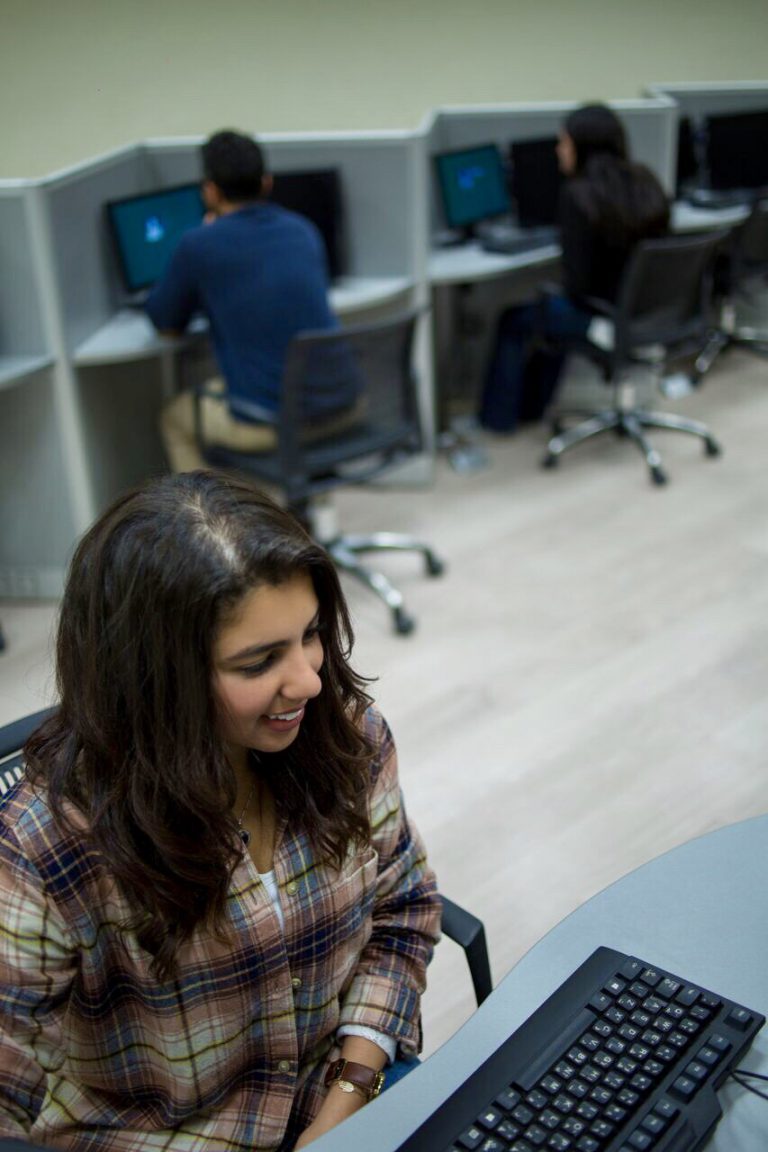 Information Technology & Computer Science - Sinai University