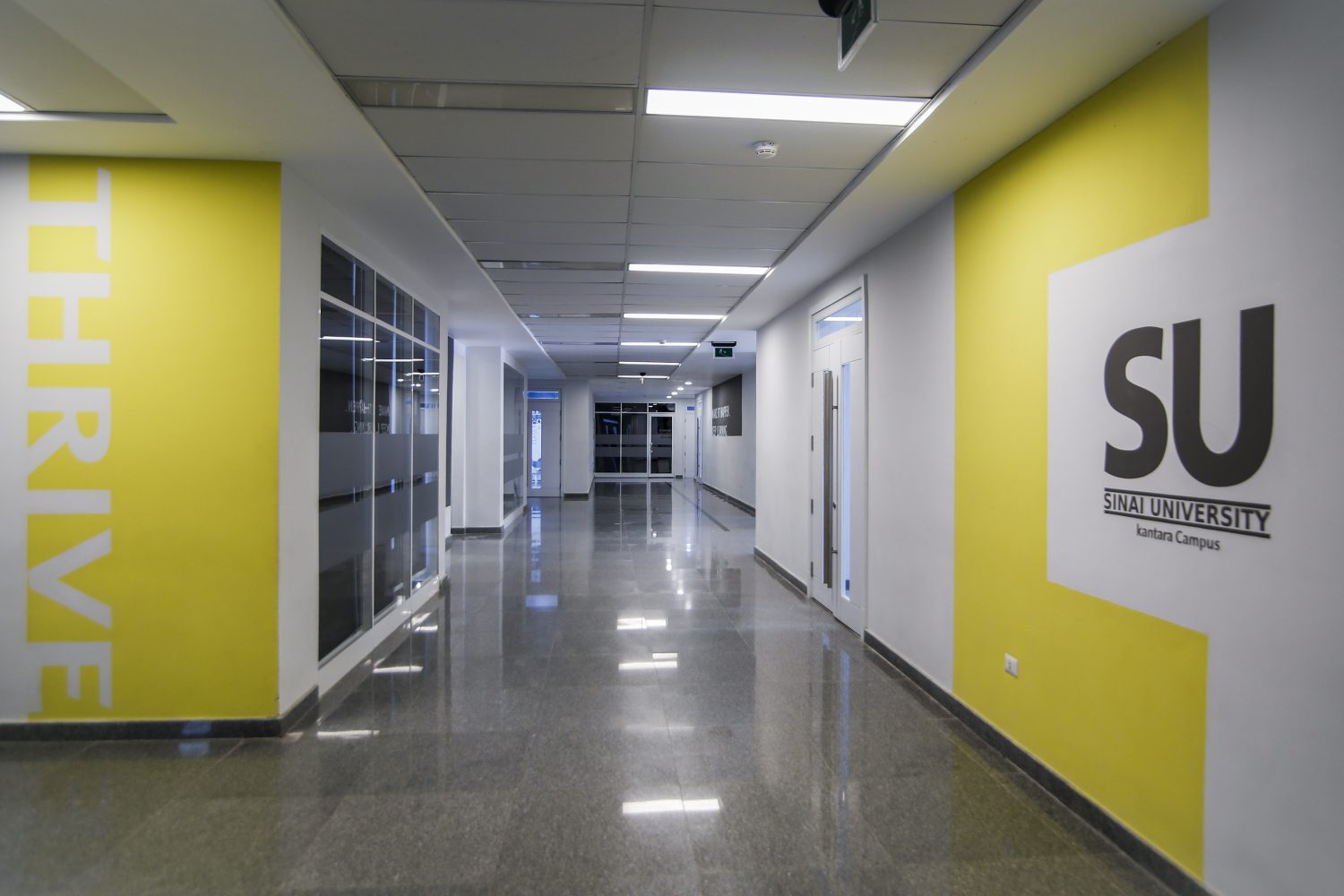 Gallery - Sinai University