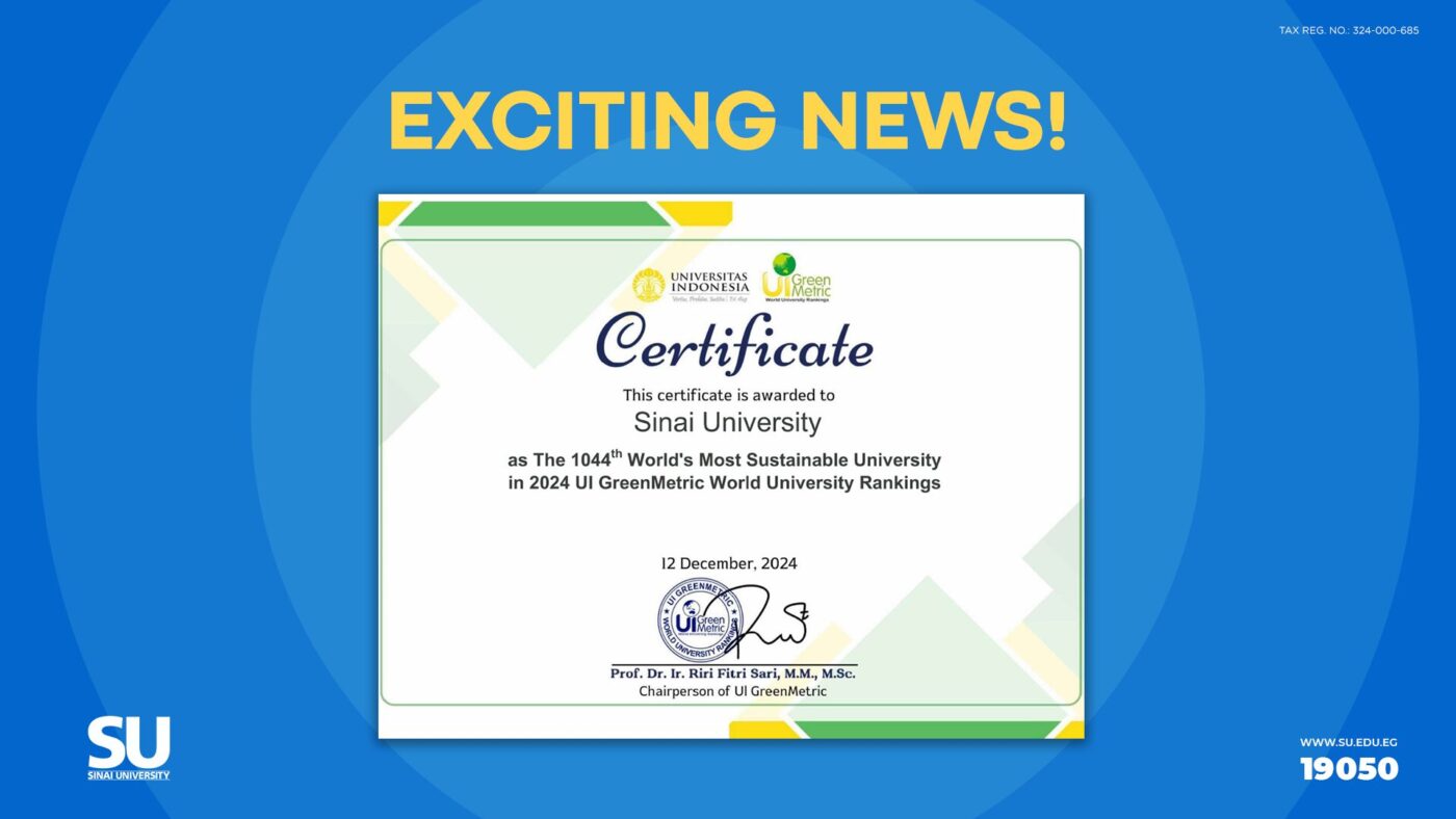 ملاعب رياضية - Sinai University